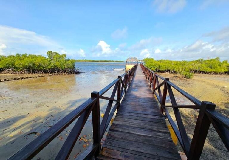 Manda Island Lamu: A Guide to Kenya's Hidden Gem
